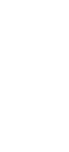 GSI – Global Strategy & Insights - Consulting & Training